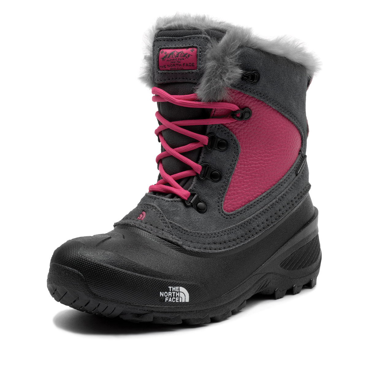 The North Face Shellista Extreme NF0A2T5V34P - ShopSector.com