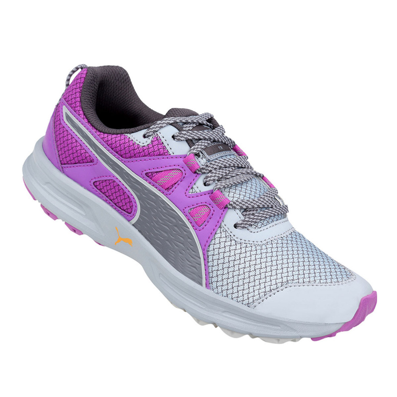 Puma Descendant Tr grey/purple 188168-04 - ShopSector.com